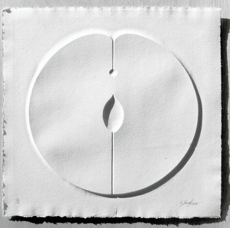 Paper Works Leandro Seixas Art